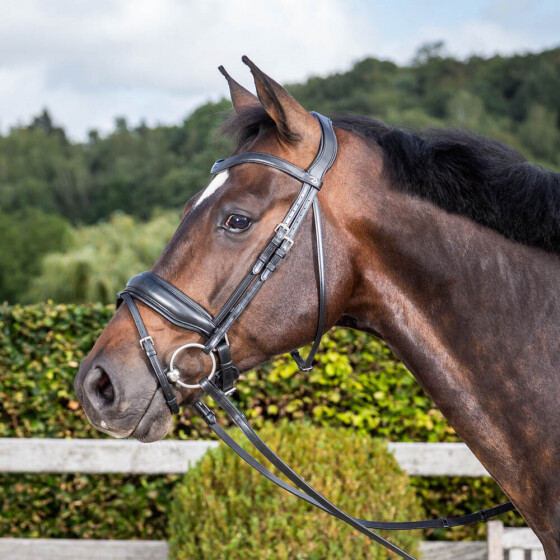 Dy'on Bridle Large Noseband 'Dressage' - DocHorse