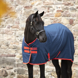 Amigo Mio Stable Sheet - DocHorse